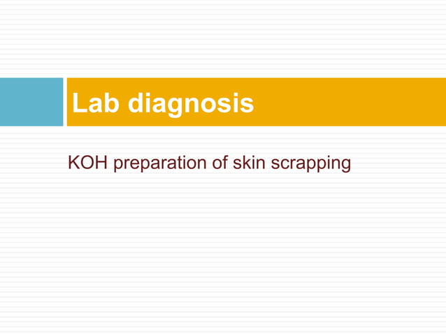 introduction to mycology (1).ppt | Skin and Dermatology | Diseases and Conditions