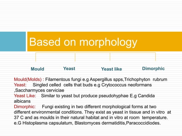 introduction to mycology (1).ppt | Skin and Dermatology | Diseases and ...