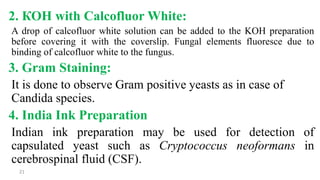 Introduction to mycology for med(1).pptx