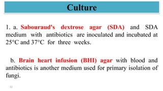 Introduction to mycology for med(1).pptx