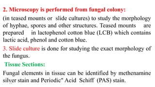 Introduction to mycology for med(1).pptx