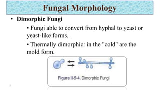 Introduction to mycology for med(1).pptx