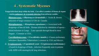 Introduction to Mycology 2020 (2).pptx