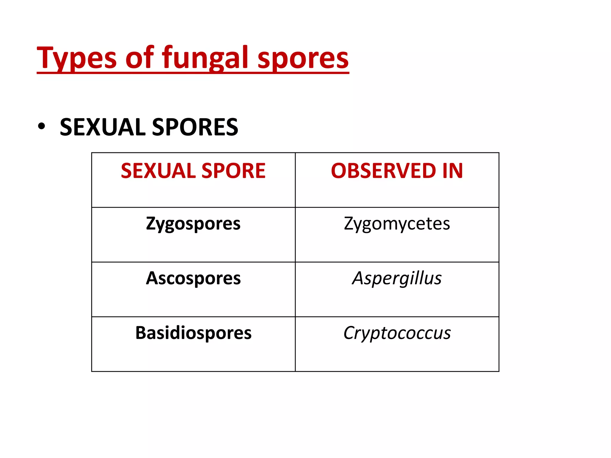 Introduction to mycology & superficial mycoses | PPTX
