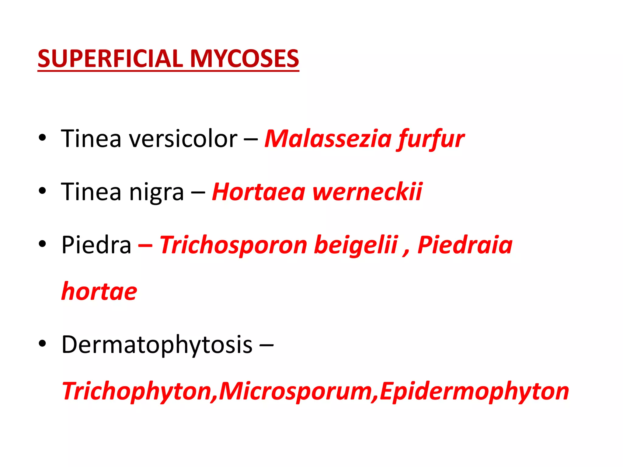 Introduction to mycology & superficial mycoses | PPTX