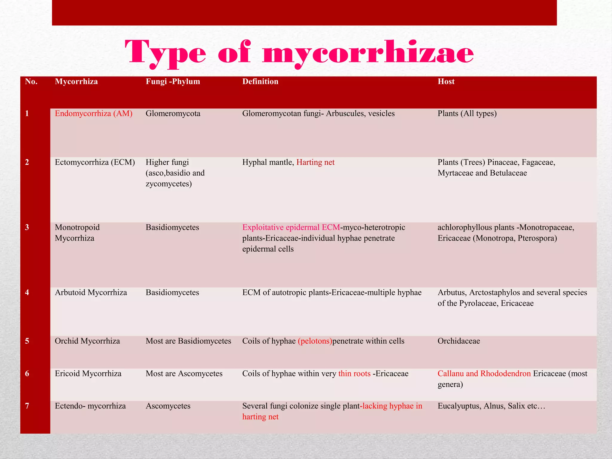 Introduction to mycorrhiza | PPT
