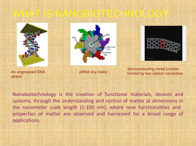 Introduction to nanobiotechnology | PPT