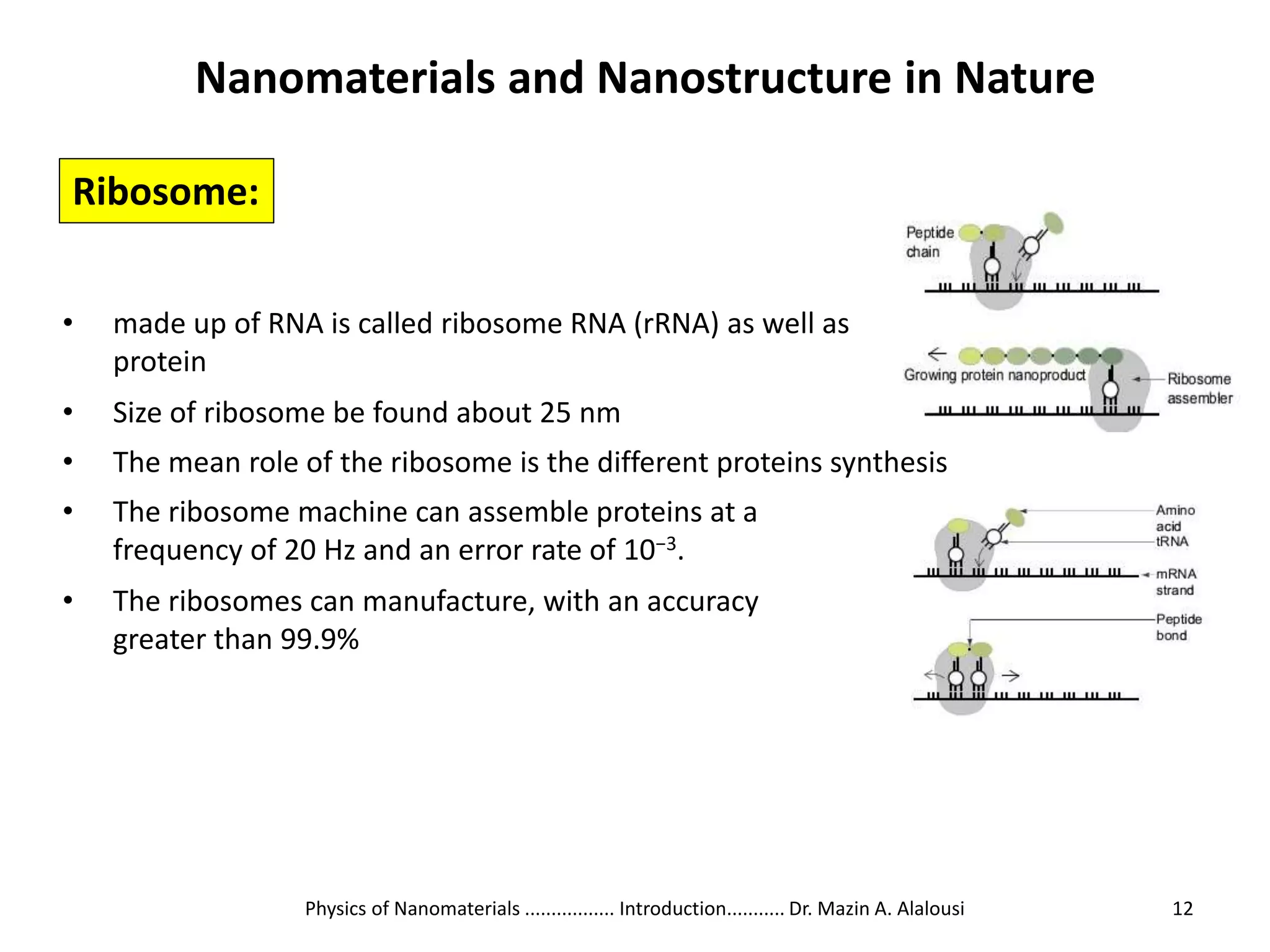 Introduction to nanoscience and nanomaterials in nature | PPTX