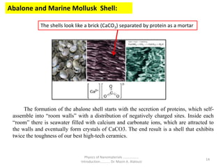 Introduction to nanoscience and nanomaterials in nature | PPTX