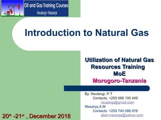 Introduction to Natural Gas -NG | PPT