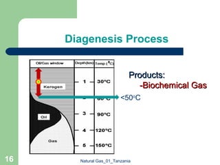 Introduction to Natural Gas -NG | PPT
