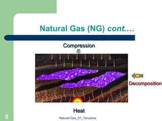 Introduction to Natural Gas -NG | PPT