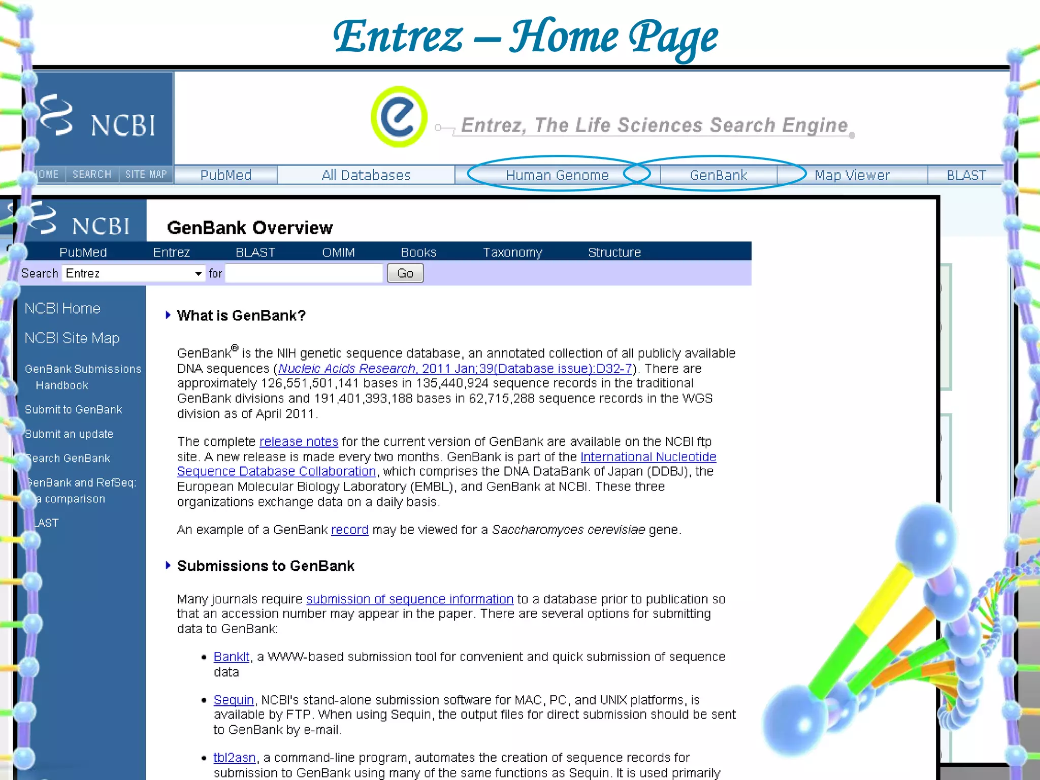 Introduction To Ncbi Pptx Databases Computer Software And Applications
