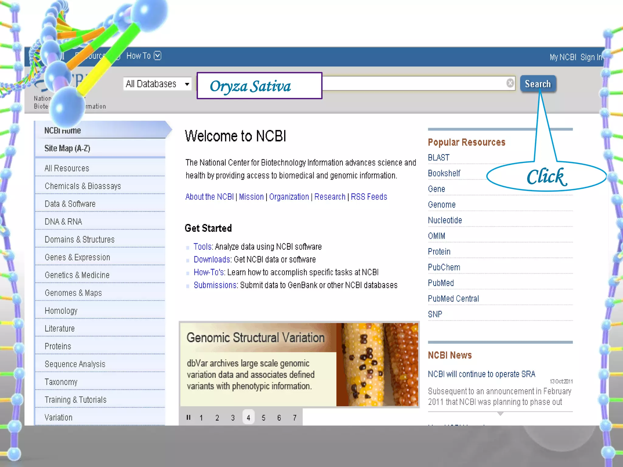 Introduction To Ncbi Pptx Databases Computer Software And Applications