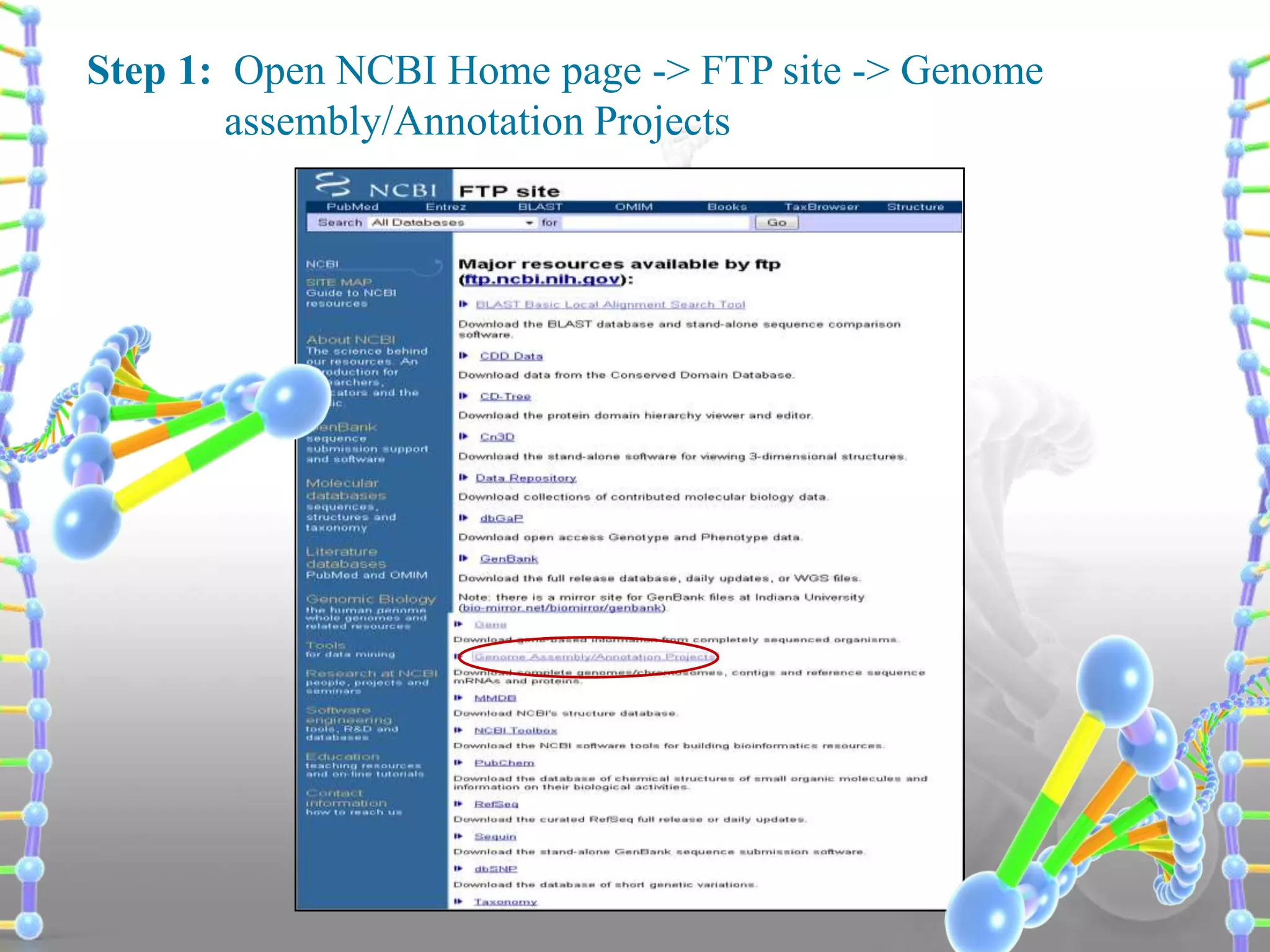 Introduction To Ncbi Pptx Databases Computer Software And Applications