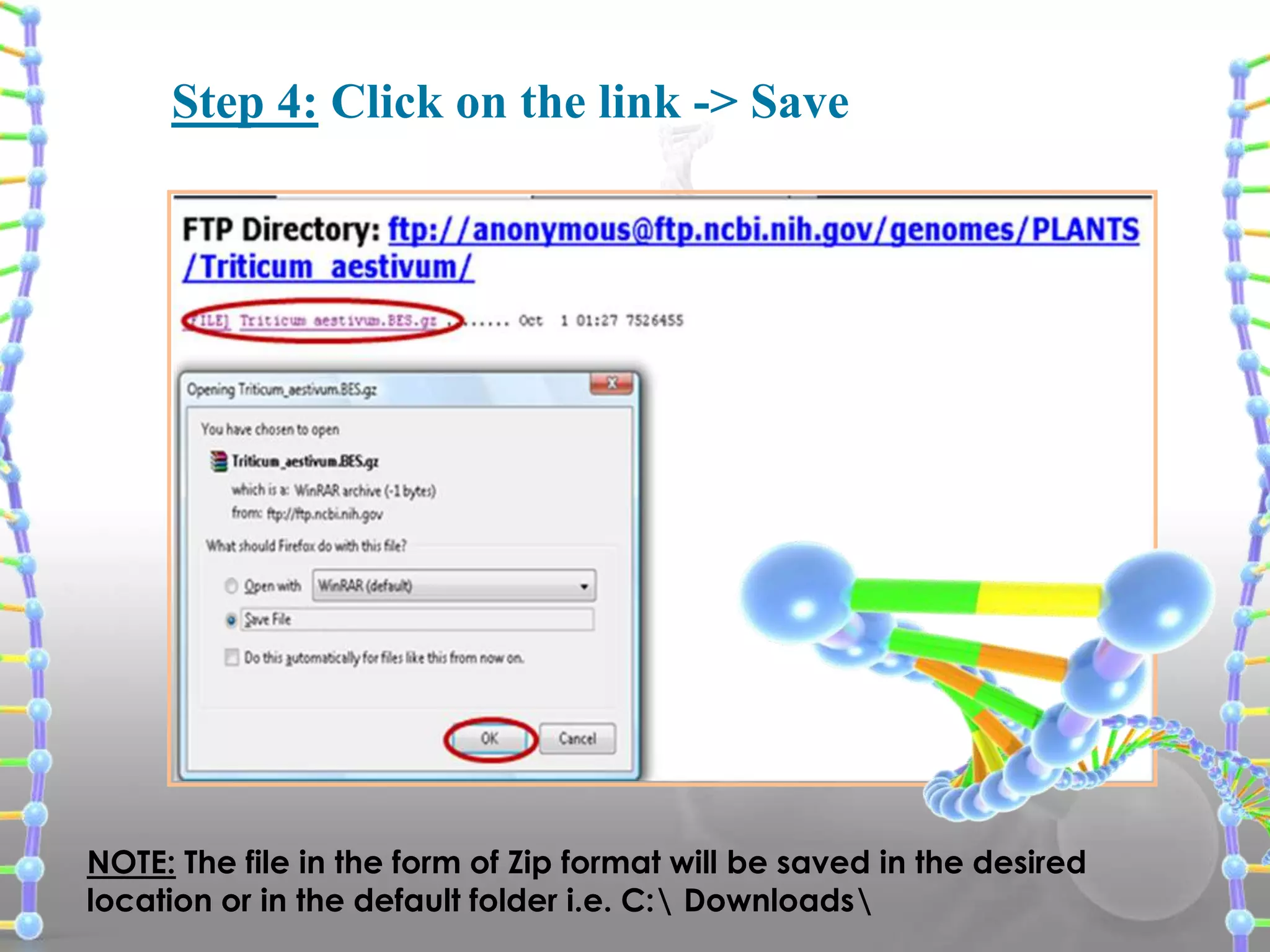 Introduction To Ncbi Pptx Databases Computer Software And Applications