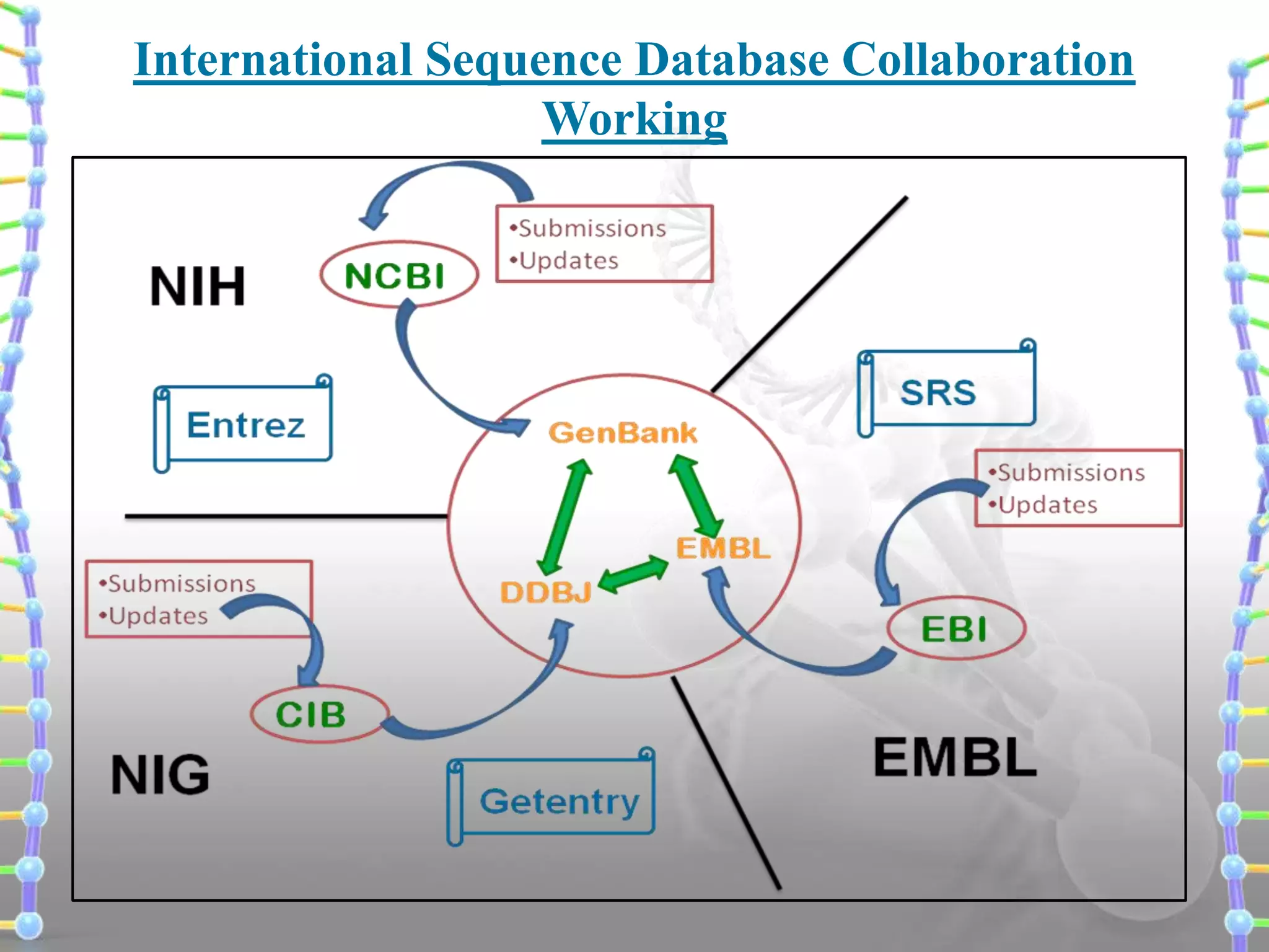 Introduction to NCBI | PPTX | Databases | Computer Software and ...