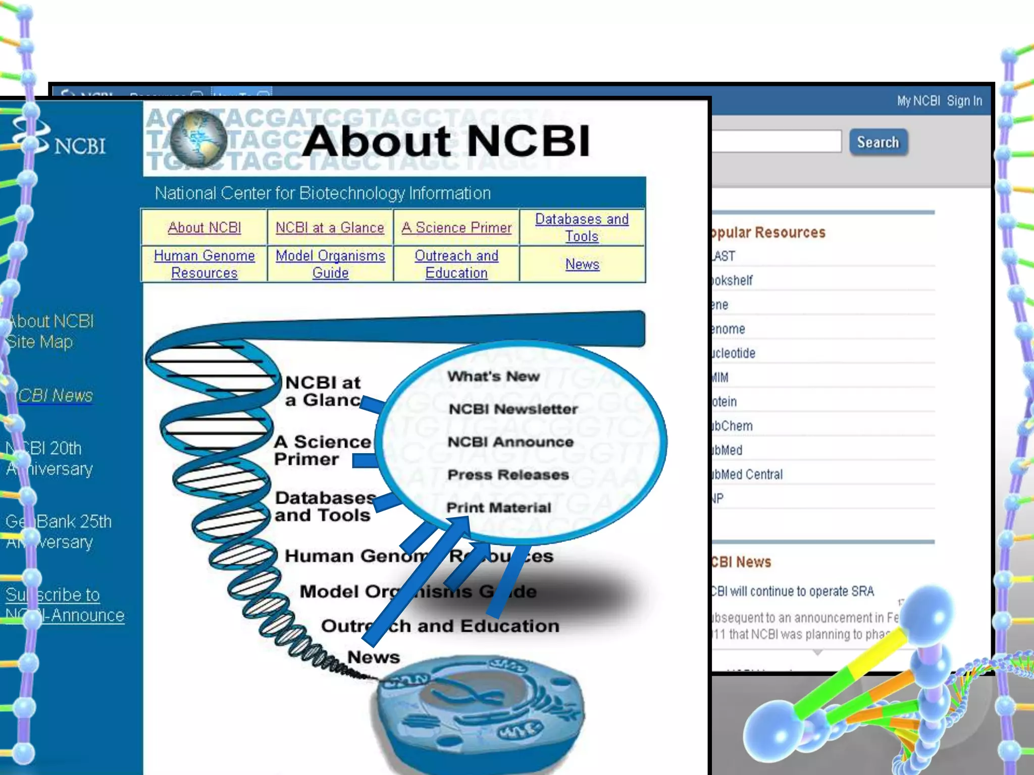 Introduction to NCBI | PPTX