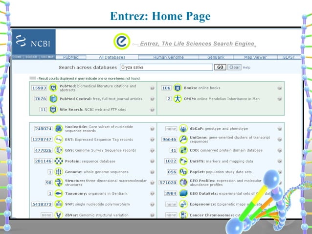 Introduction to NCBI | PPTX | Databases | Computer Software and ...