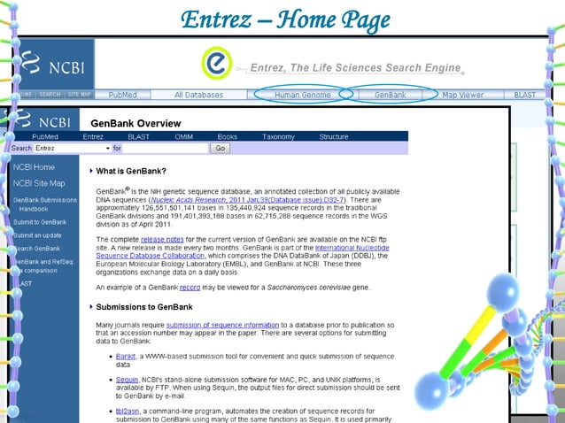 Introduction To Ncbi Pptx Databases Computer Software And Applications