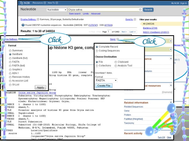 Introduction To Ncbi Pptx Databases Computer Software And Applications