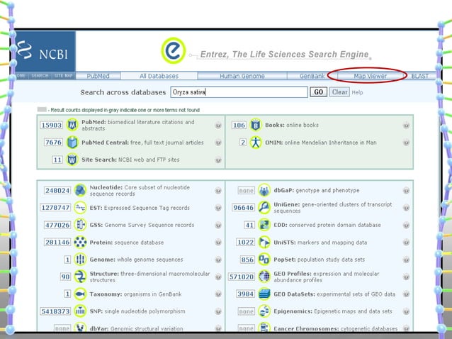 Introduction To Ncbi Pptx Databases Computer Software And