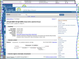 Introduction to NCBI | PPTX
