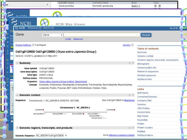 Introduction to NCBI | PPTX | Databases | Computer Software and Applications