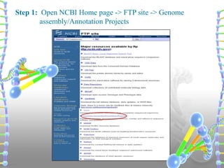 Introduction to NCBI | PPTX