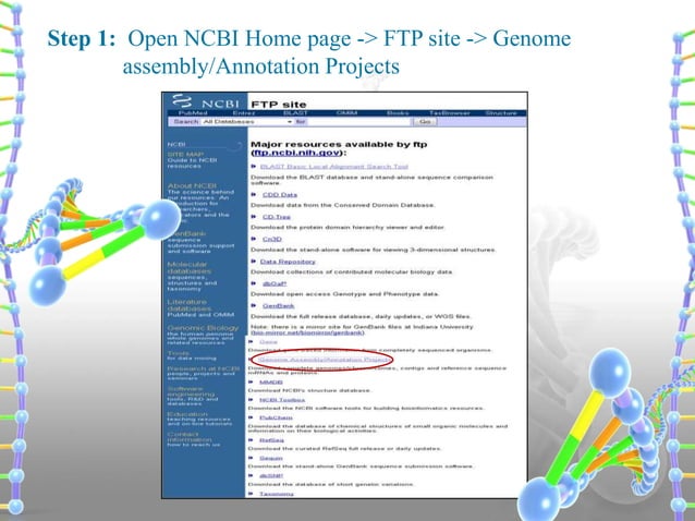 Introduction to NCBI | PPTX | Databases | Computer Software and Applications