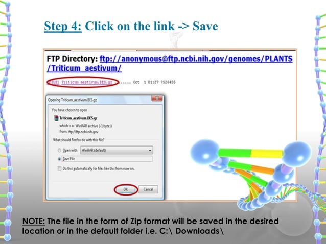 Introduction To Ncbi Pptx Databases Computer Software And Applications