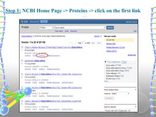 Introduction to NCBI | PPTX