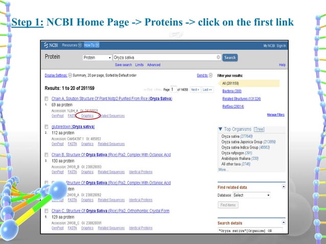 Introduction To Ncbi Pptx Databases Computer Software And Applications