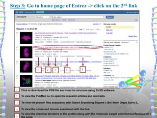 Introduction to NCBI | PPTX