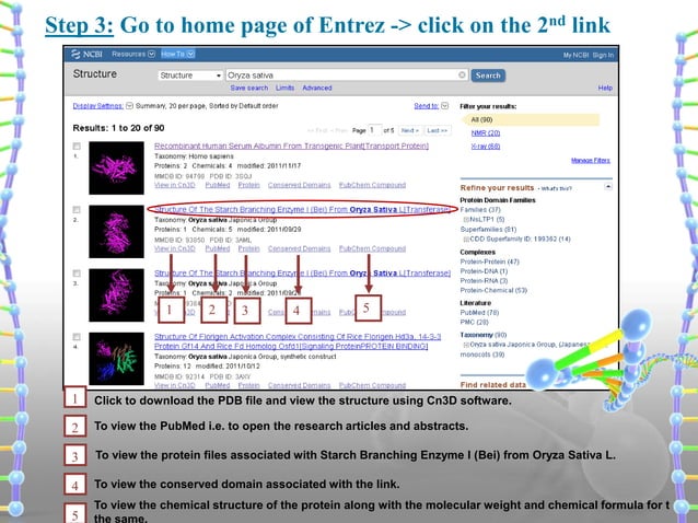 Introduction To Ncbi Pptx Databases Computer Software And Applications
