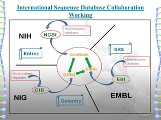 Introduction to NCBI | PPTX