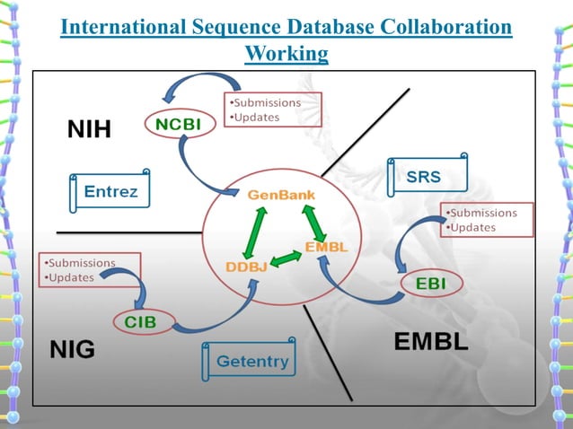 Introduction To Ncbi Pptx Databases Computer Software And