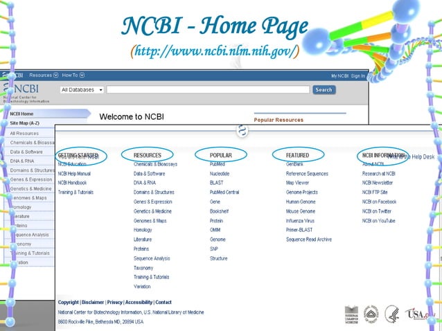 Introduction To Ncbi Pptx Databases Computer Software And Applications