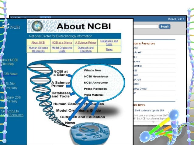 Introduction To Ncbi