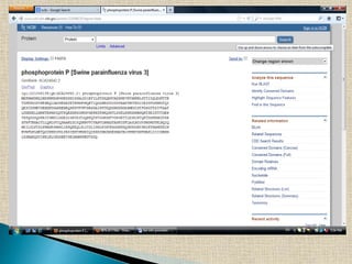 Introduction to ncbi, embl, ddbj | PPTX