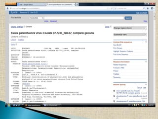 Introduction to ncbi, embl, ddbj | PPTX