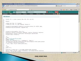 Introduction to ncbi, embl, ddbj | PPTX
