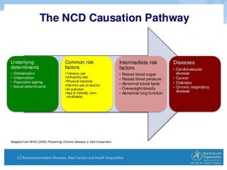 INTRODUCTION TO NCDs | PPTX