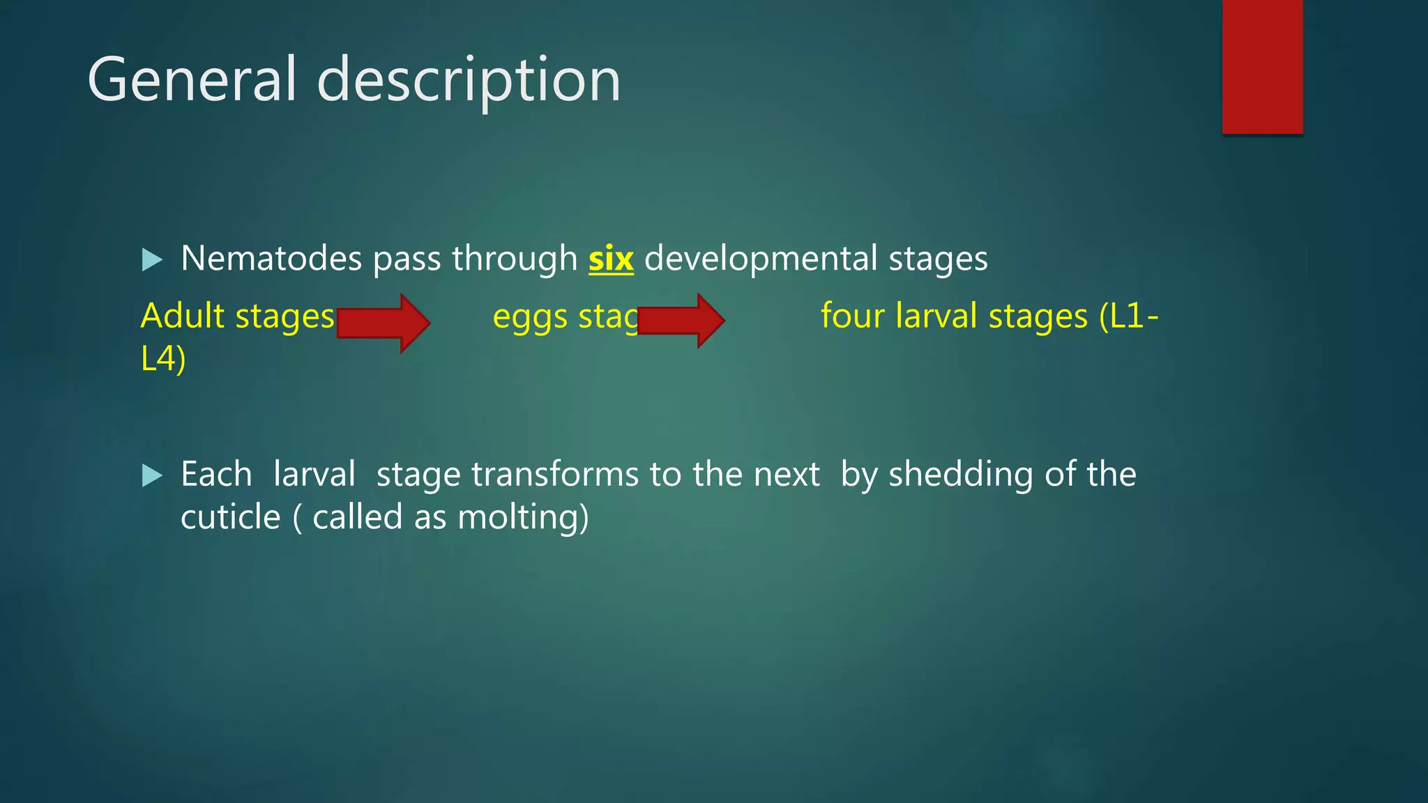Introduction to nematodes | PPTX