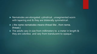 Introduction to nematodes | PPTX