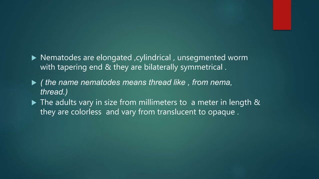 Introduction to nematodes | PPTX | Reproductive Health | Diseases and Conditions