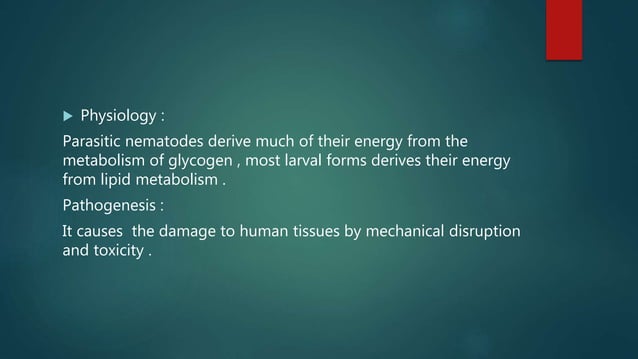Introduction to nematodes | PPTX | Reproductive Health | Diseases and ...