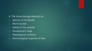 Introduction to nematodes | PPTX