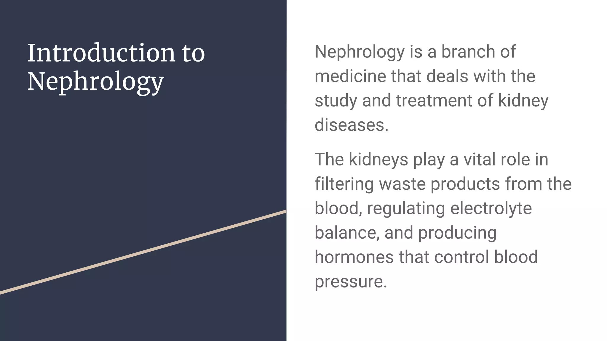Introduction to Nephrology and Kidney Diseases | PPTX