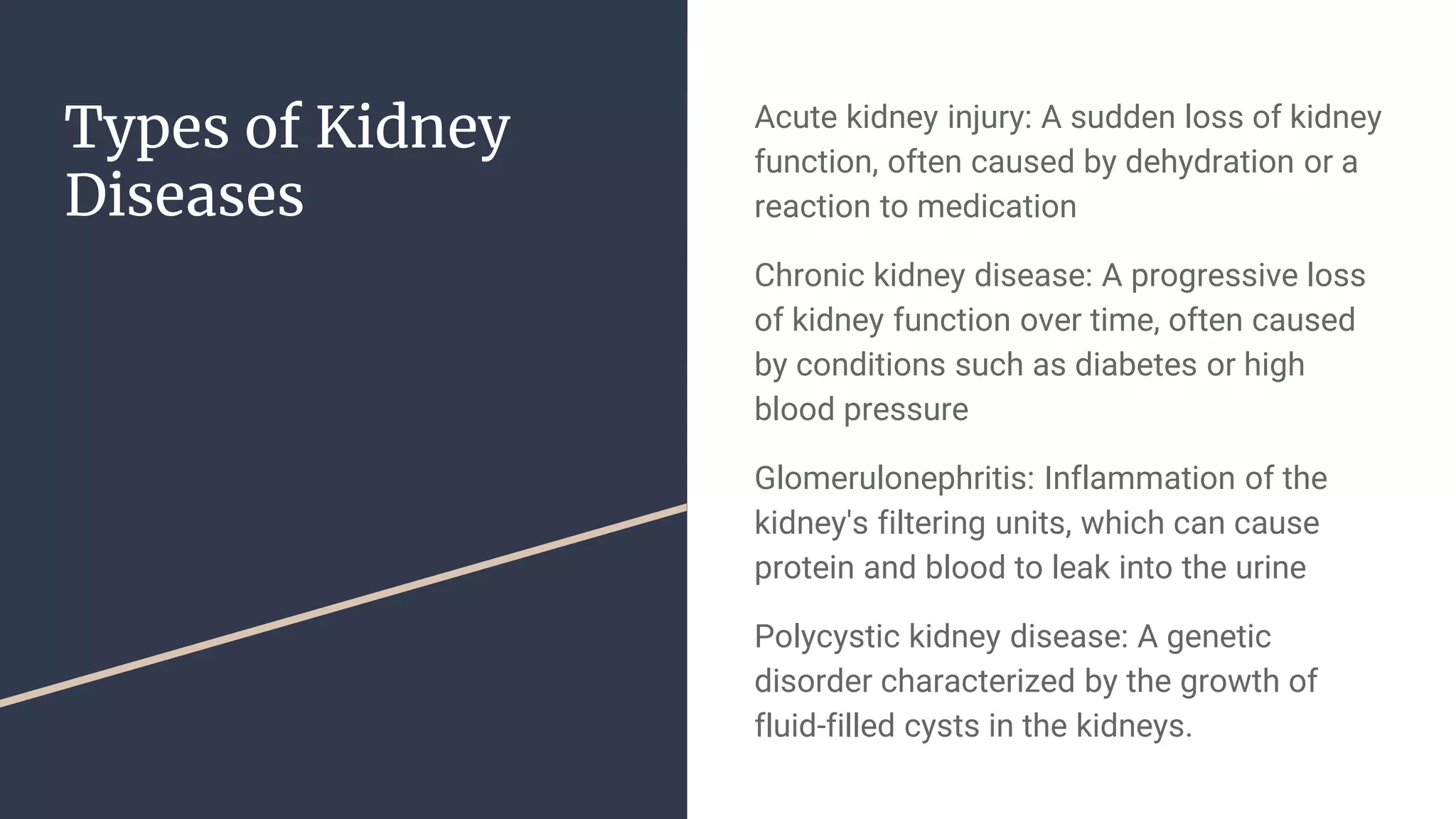 Introduction to Nephrology and Kidney Diseases | PPTX